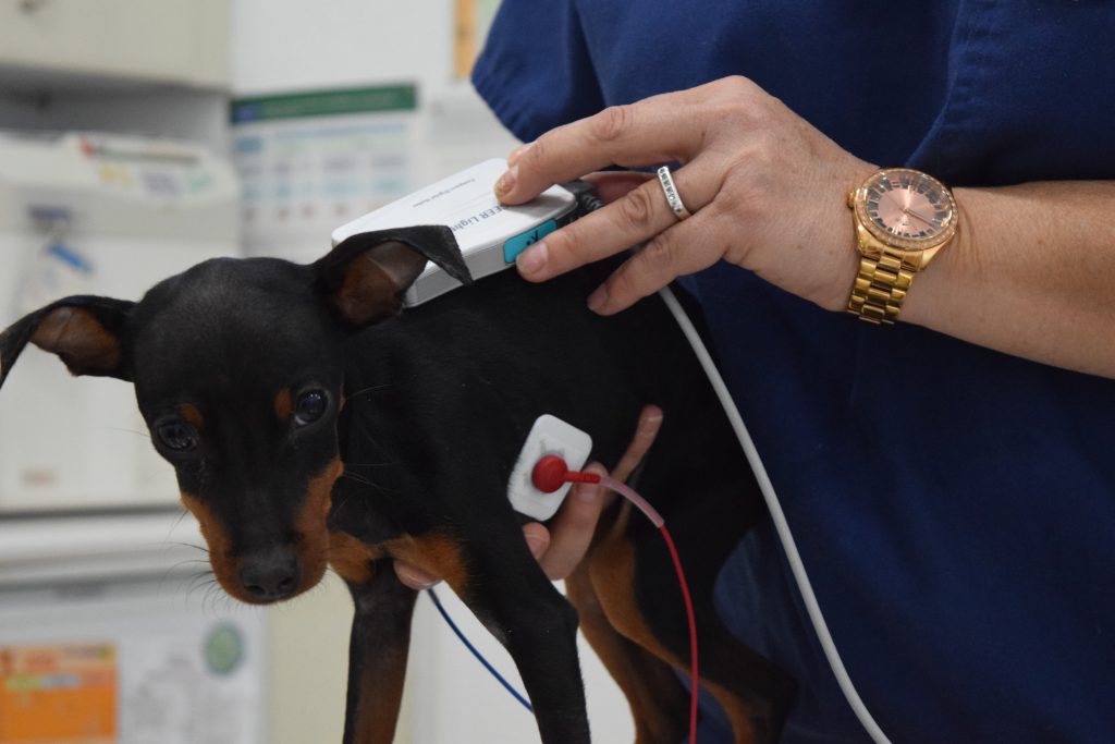 Monitorización electrocardiográfica 24 horas: Holter - Albacora ...